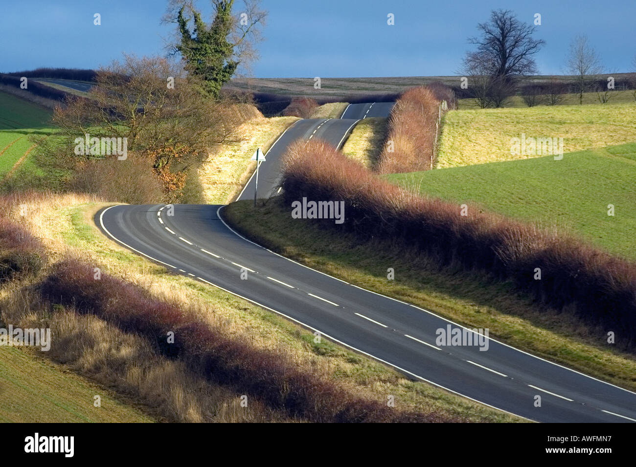 Photo of a rural road as it heads curving into the distance Stock Photo ...
