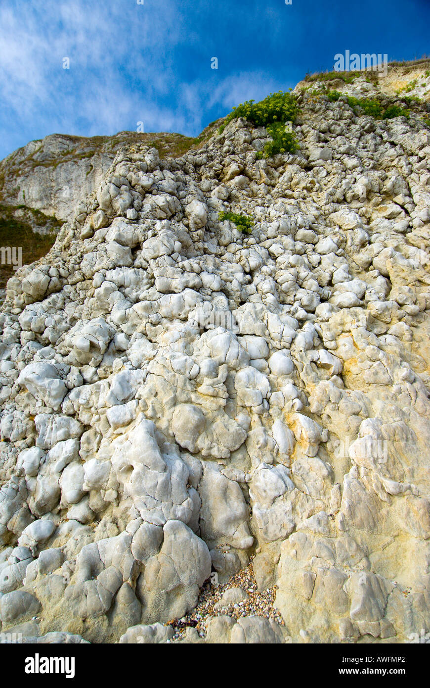 Limestone detail from Dorsets Jurassic Coast Stock Photo - Alamy