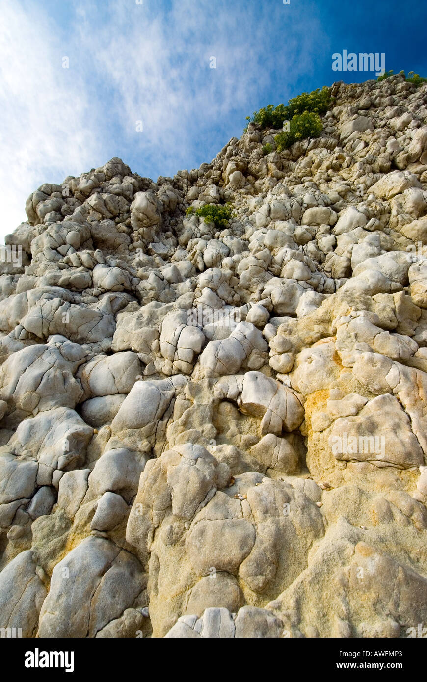 Limestone detail from Dorsets Jurassic Coast Stock Photo - Alamy