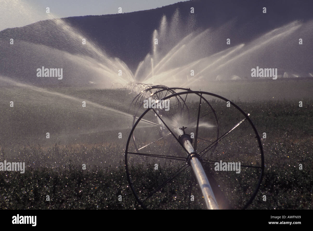 Southeast oregon hi-res stock photography and images - Alamy