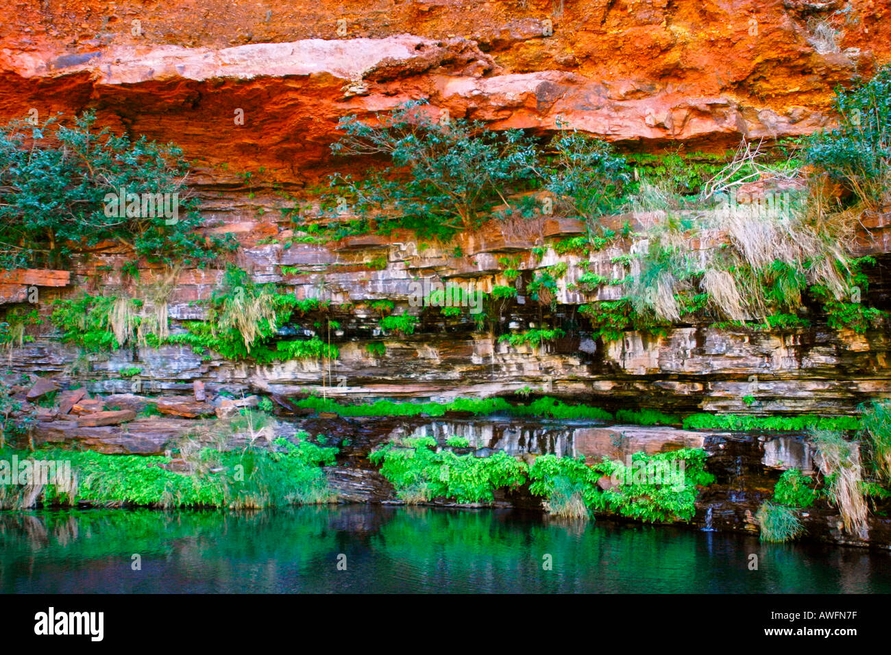 Beautiful red soil and light green Spinifex plants around gorges of ...