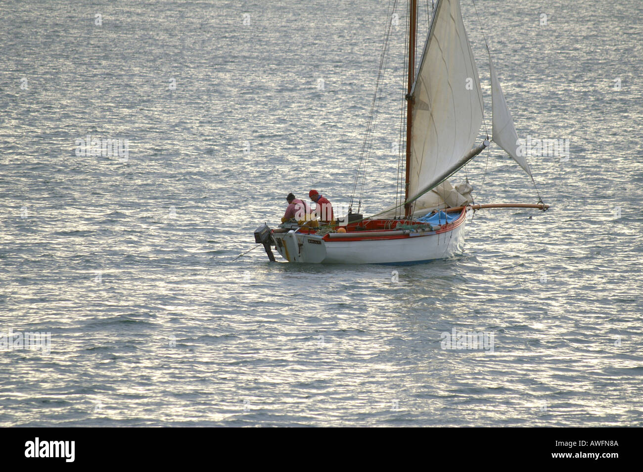 Oyster dredging from a Falmouth working boat under sail in the Carrick ...