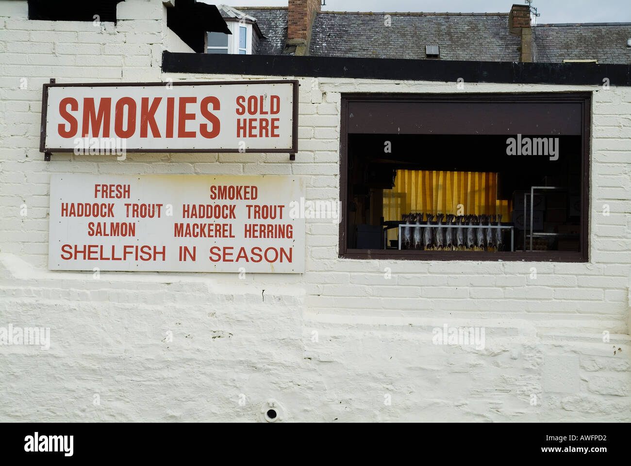 dh Arbroath smokies bloaters ARBROATH ANGUS SCOTLAND Fish ready for ...