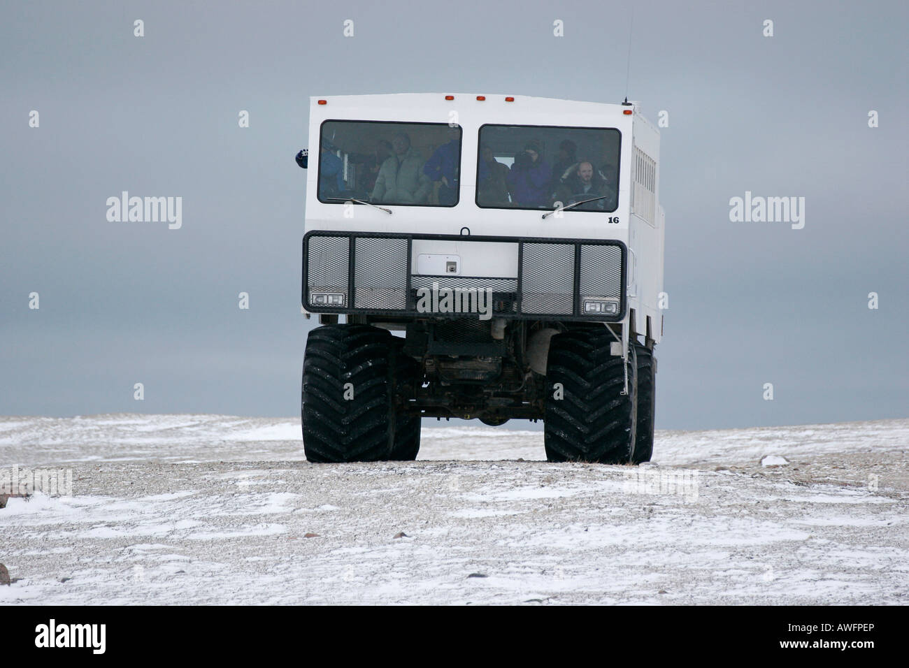 Tundra Buggy driving through the tundra in search of Polar Bears ...