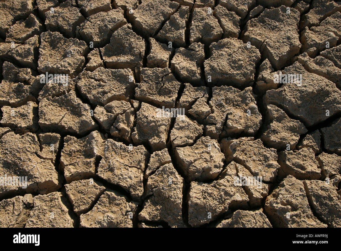 Drought dried mud soil hi-res stock photography and images - Alamy