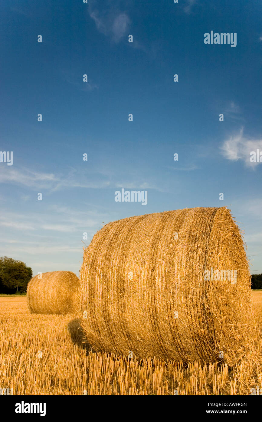 Straw bales ready for the farmer to collect after the crops have been ...