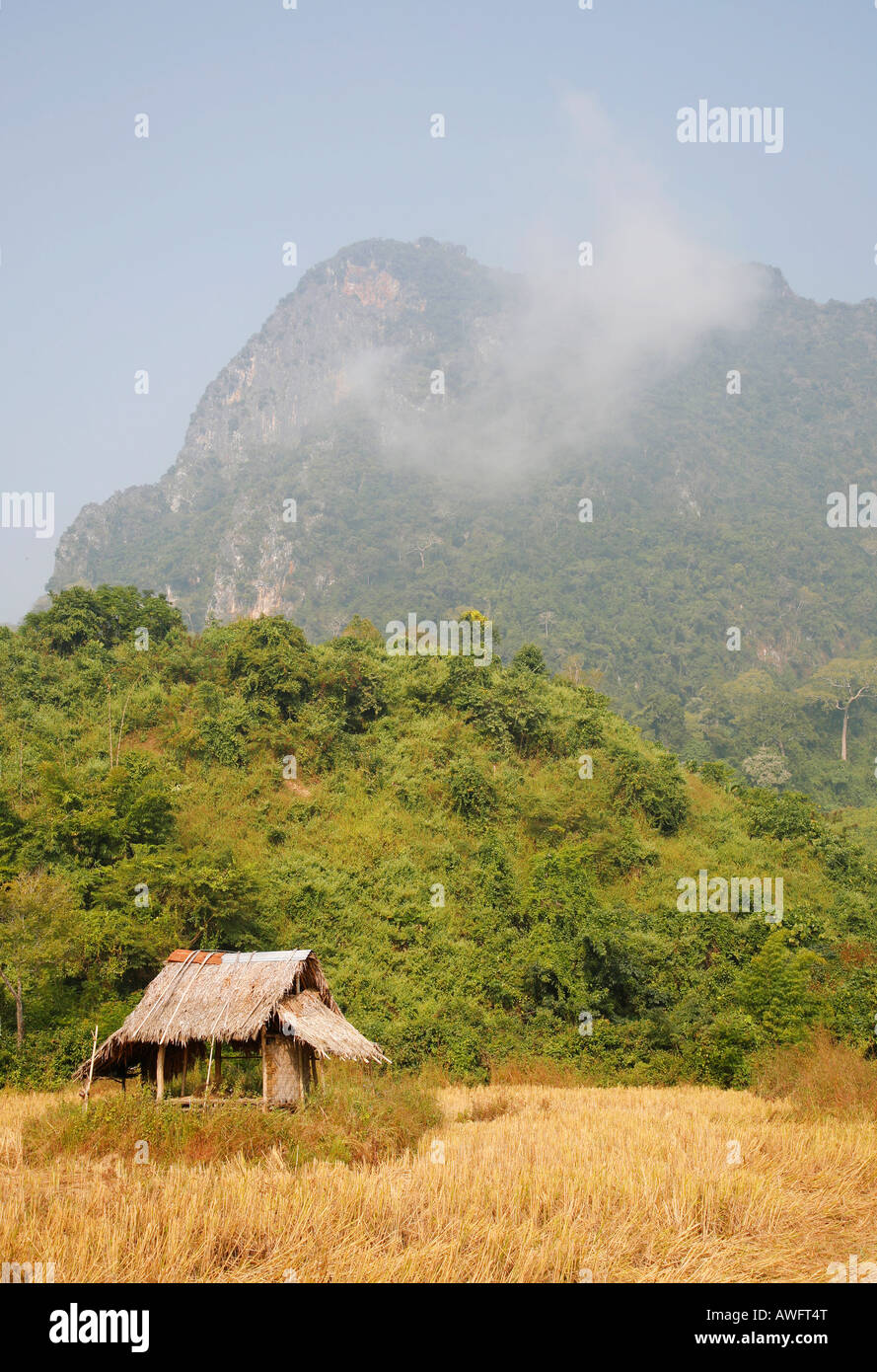 Karst Limestone in rural Laos Stock Photo - Alamy