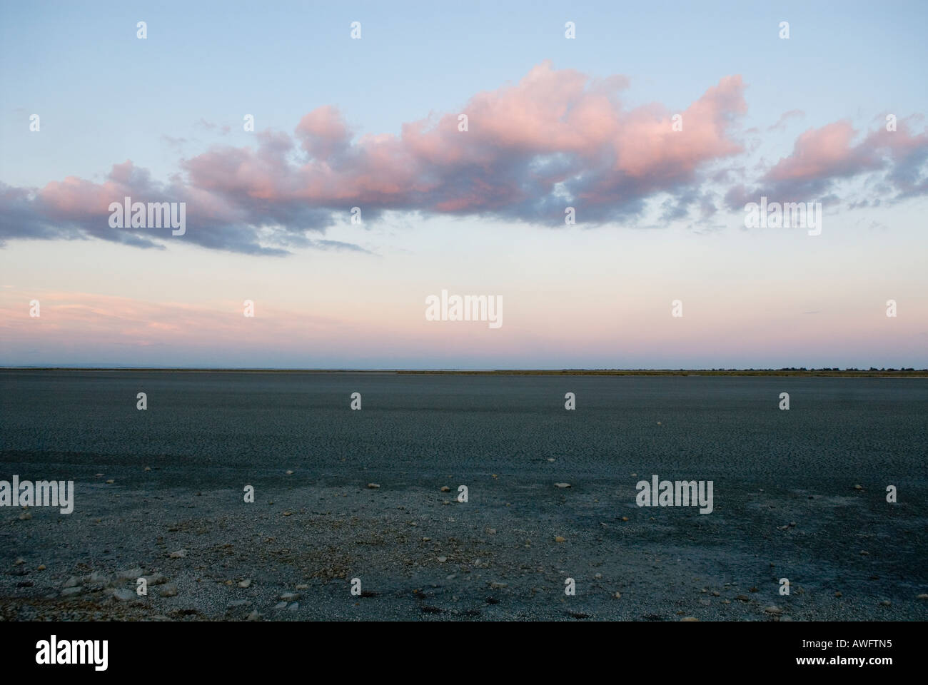 Dry salt marsh in the Camargue at sunset ,Provence,France Stock Photo ...
