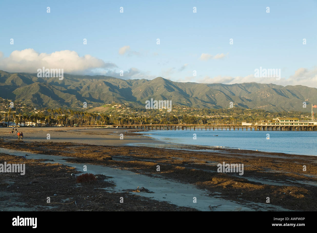 CALIFORNIA Santa Barbara Seaweed on West Beach at low tide Stearns ...