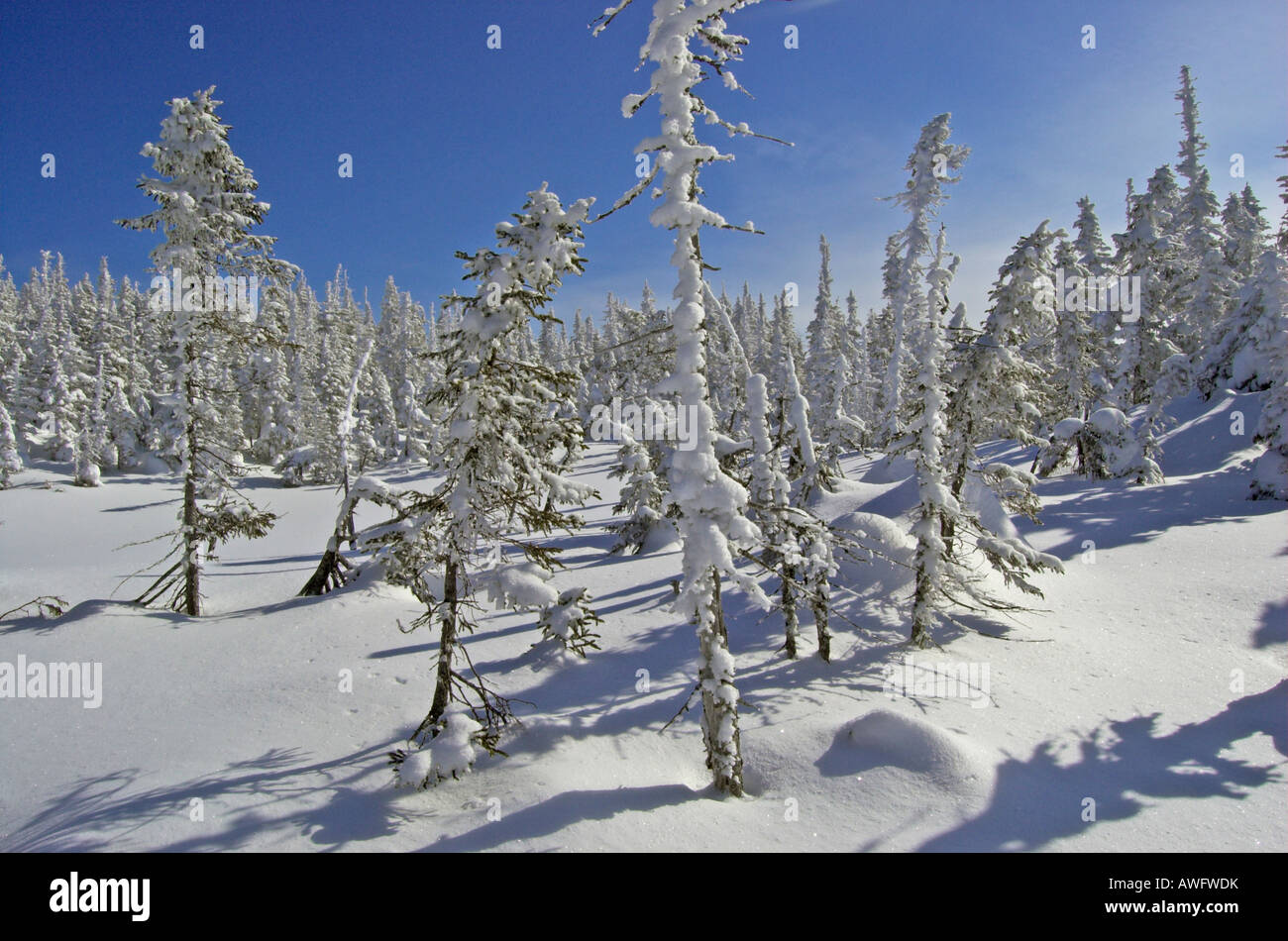 A Canadian winter scene Stock Photo - Alamy