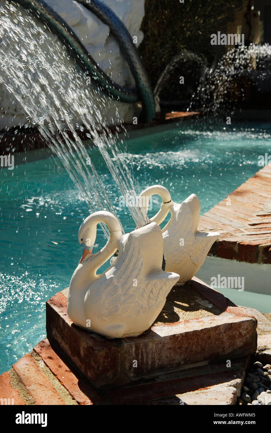 sculptured swans serve as water fountains at the swimming pool in the ...