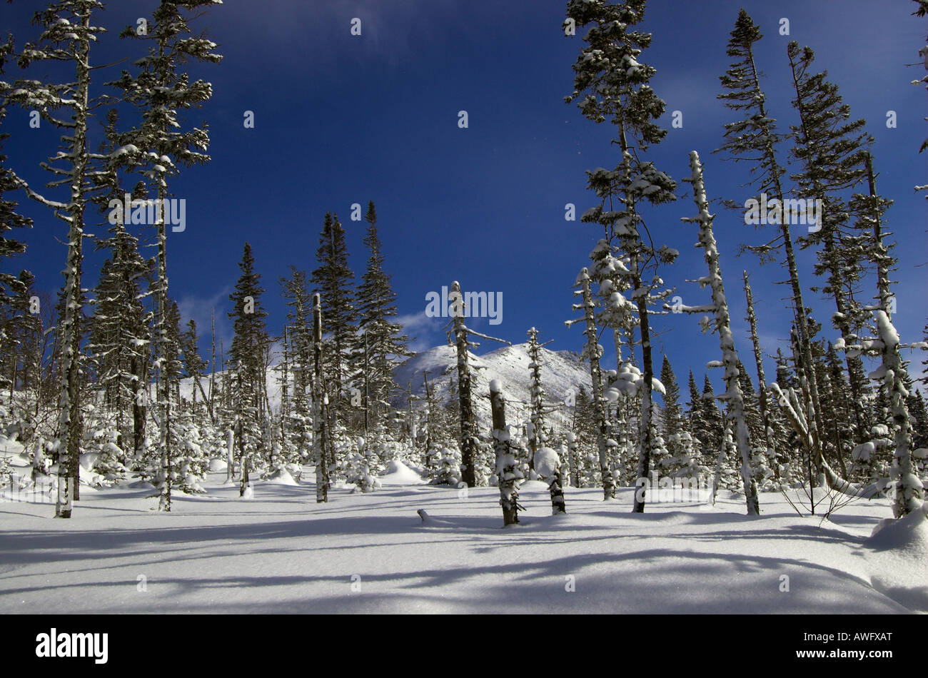 A Canadian winter scene Stock Photo - Alamy