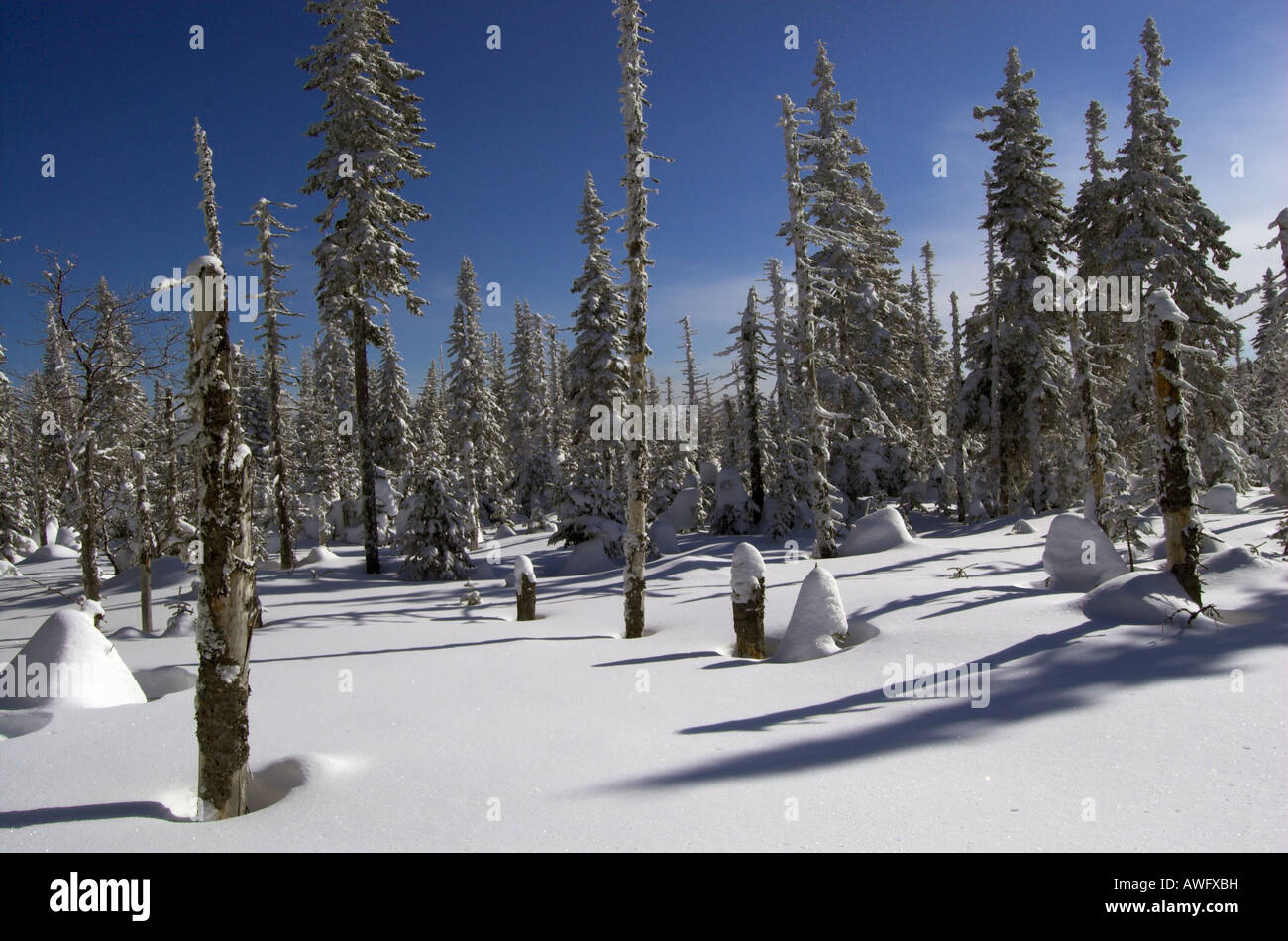A Canadian winter scene Stock Photo - Alamy