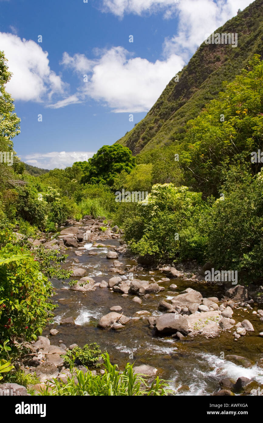 Iao valley river hi-res stock photography and images - Alamy