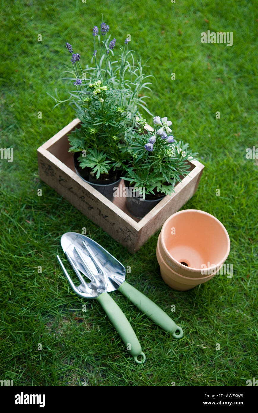 Gardening tools in box hi-res stock photography and images - Alamy