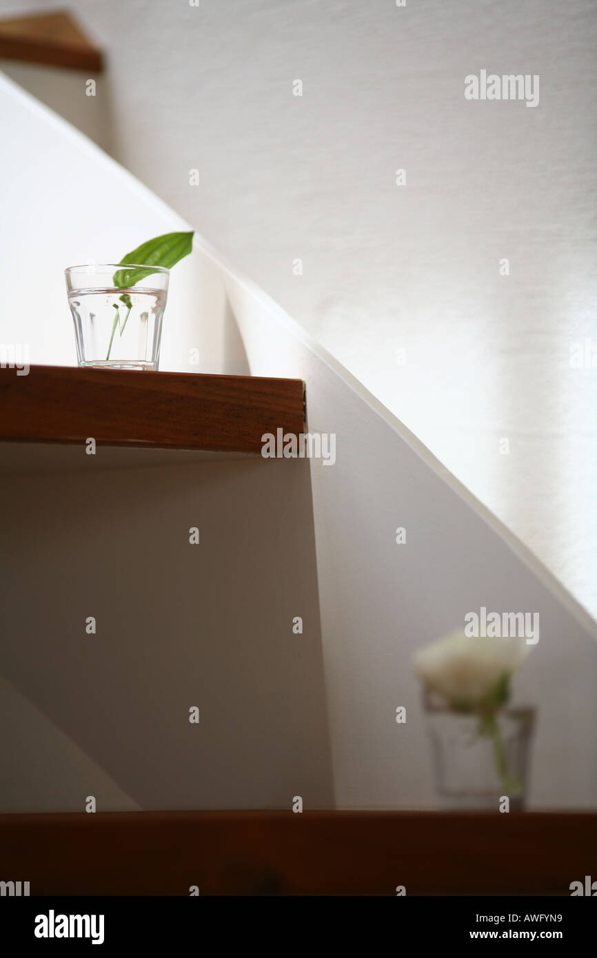 Flower on step Stock Photo - Alamy