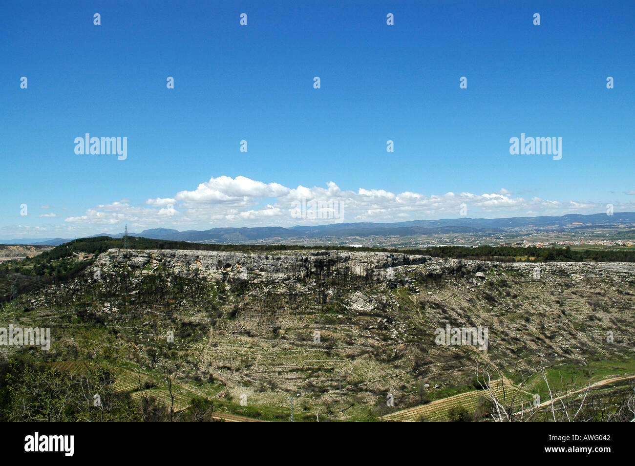 Burnt forests Stock Photo - Alamy