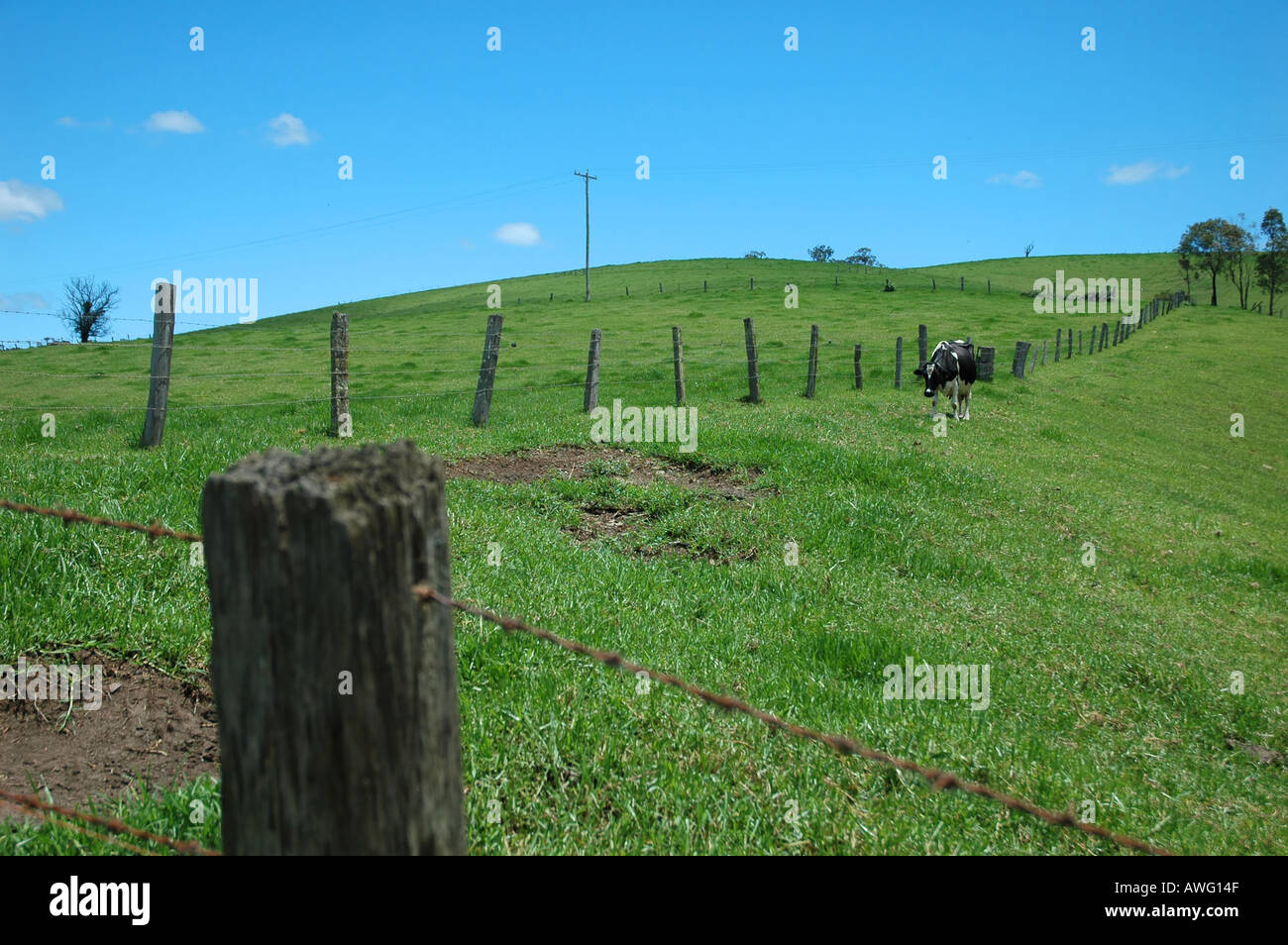 Bega valley hi-res stock photography and images - Alamy