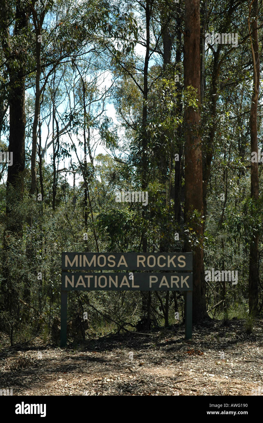 Mimosa rocks hi-res stock photography and images - Alamy