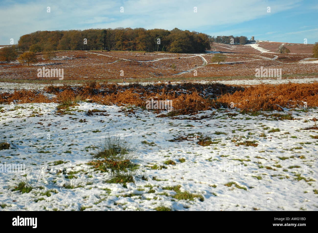 Scenic Winter Day in Bradgate Park Leicester Stock Photo - Alamy