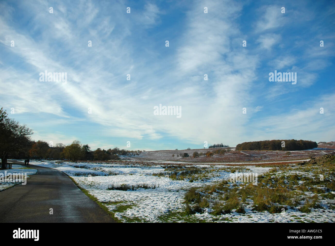 Scenic Winter Day in Bradgate Park Leicester Stock Photo - Alamy