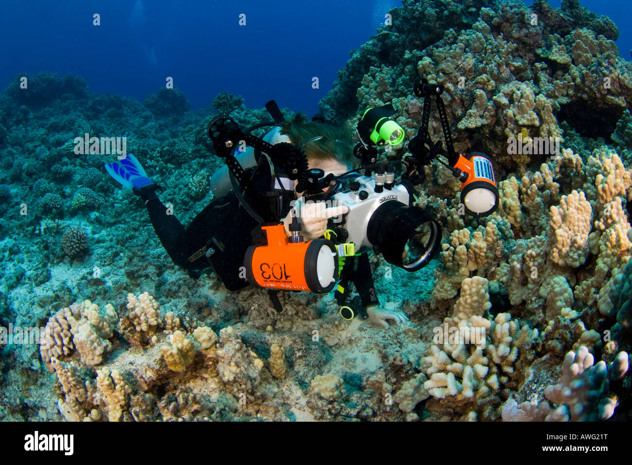 Underwater camera hi-res stock photography and images - Alamy