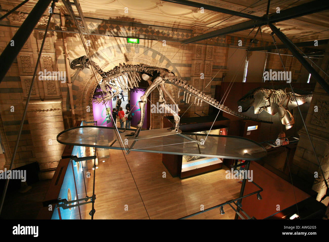 Tourists visit the popular prehistoric dinosaur exhibition at the world ...