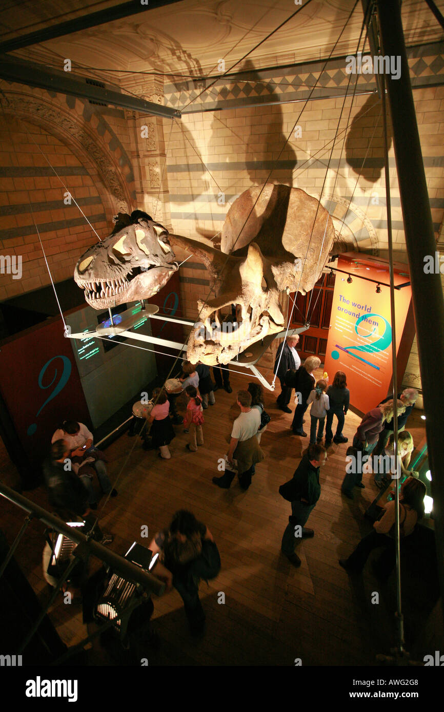 National history museum london dinosaur hi-res stock photography and ...