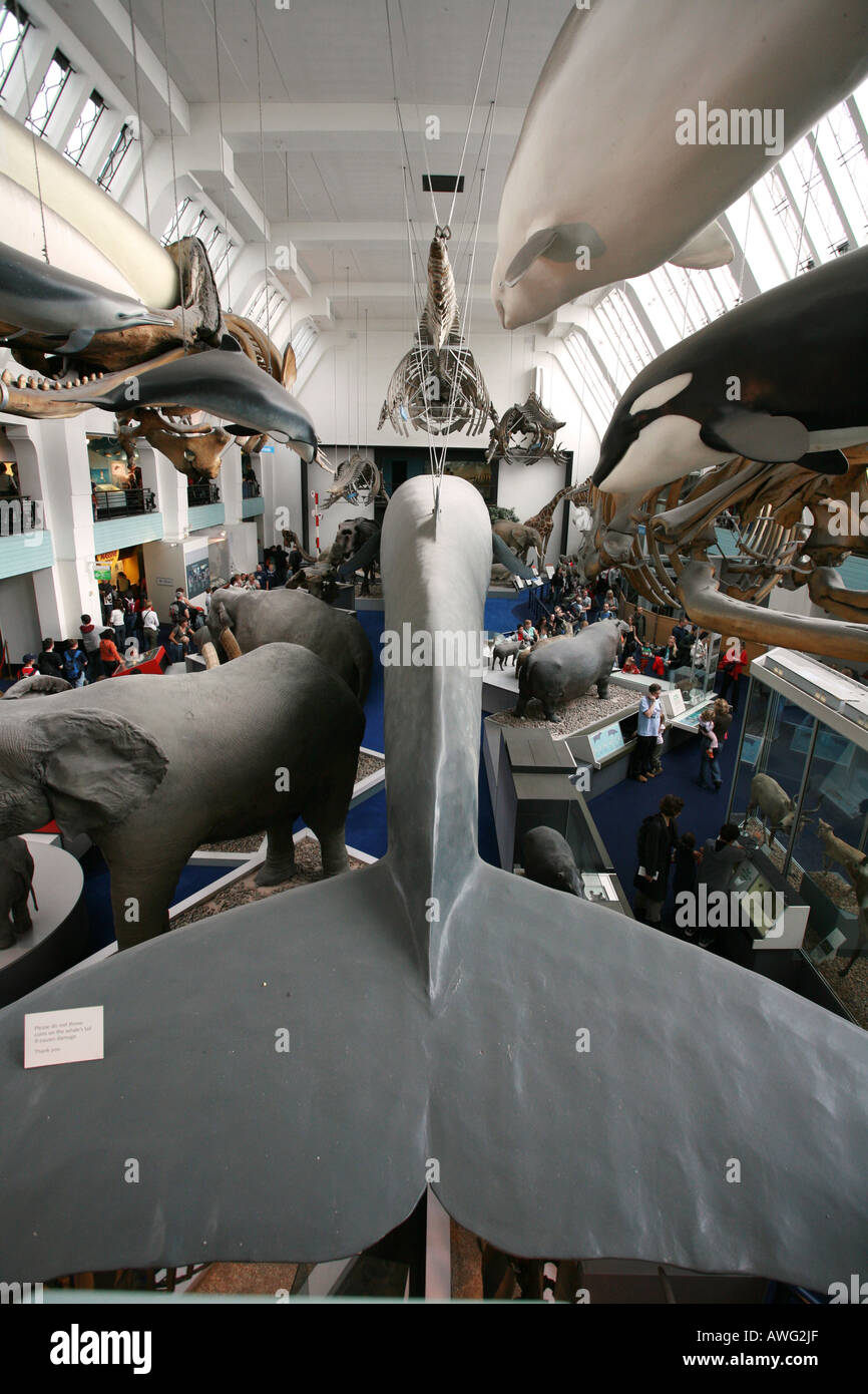 Dinosaurs in popular culture hi-res stock photography and images - Alamy