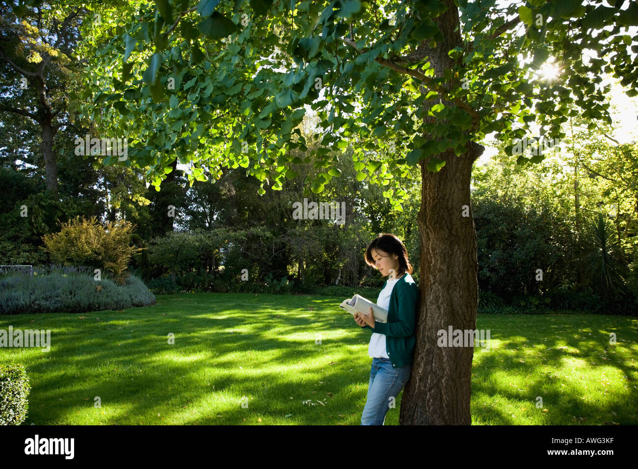 Young woman reading under a tree Stock Photo - Alamy