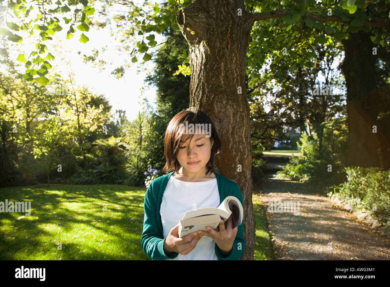 Woman under tree relaxing book hi-res stock photography and images - Alamy