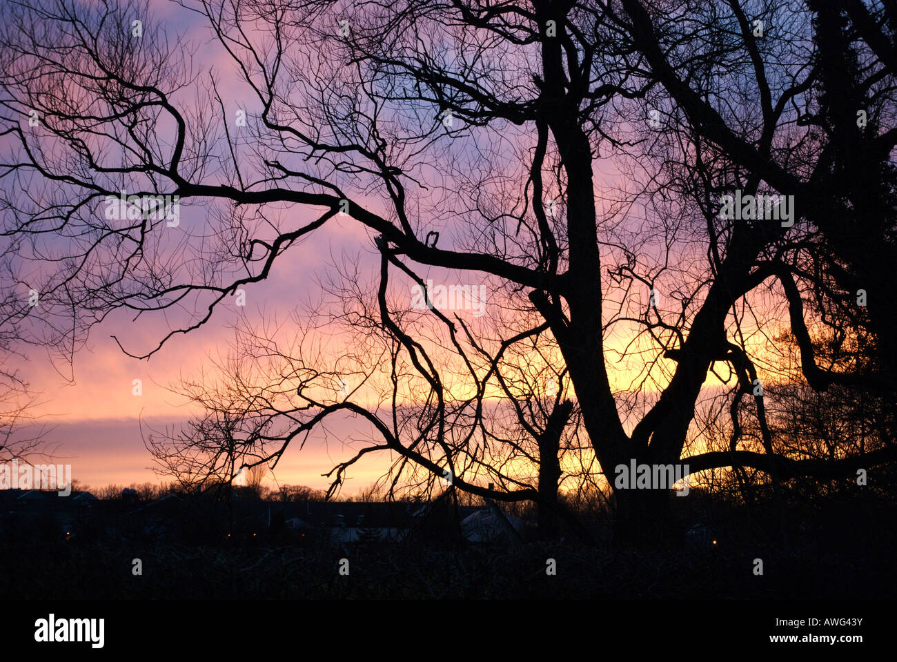 Cool spring sunset beautiful landscape Stock Photo - Alamy