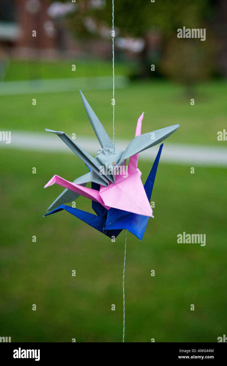 Blue pink and grey origami swans hanging from a string in front of a ...