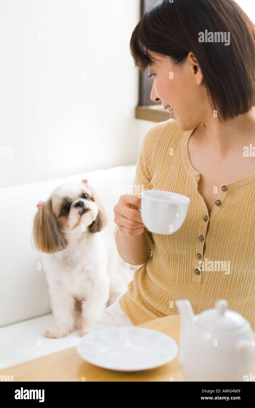 A mid adult woman looking at a dog Stock Photo - Alamy