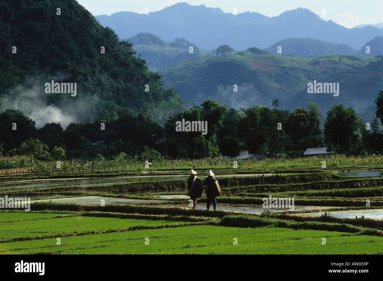 mai chau valley vietnam Stock Photo - Alamy