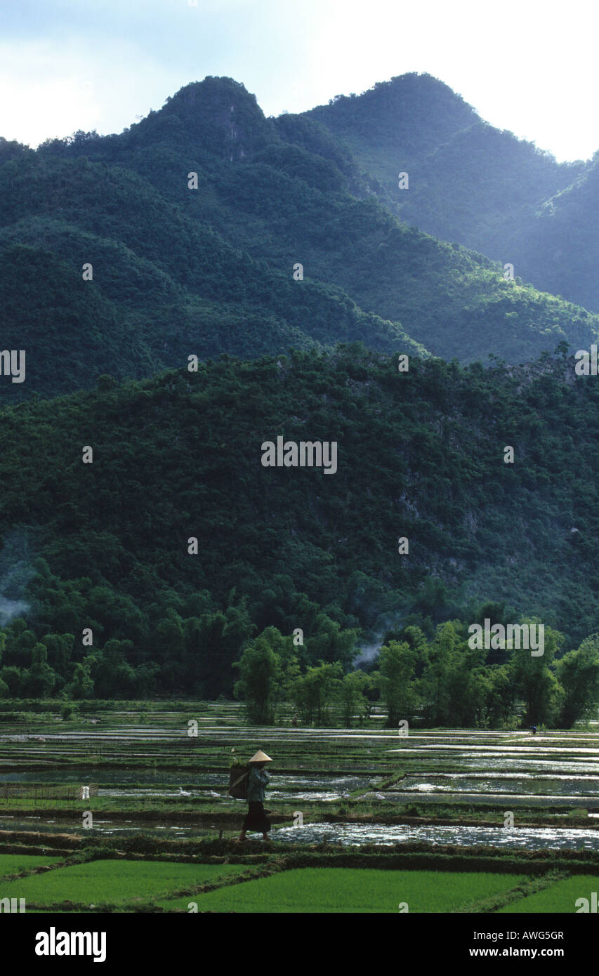 mai chau valley vietnam Stock Photo - Alamy