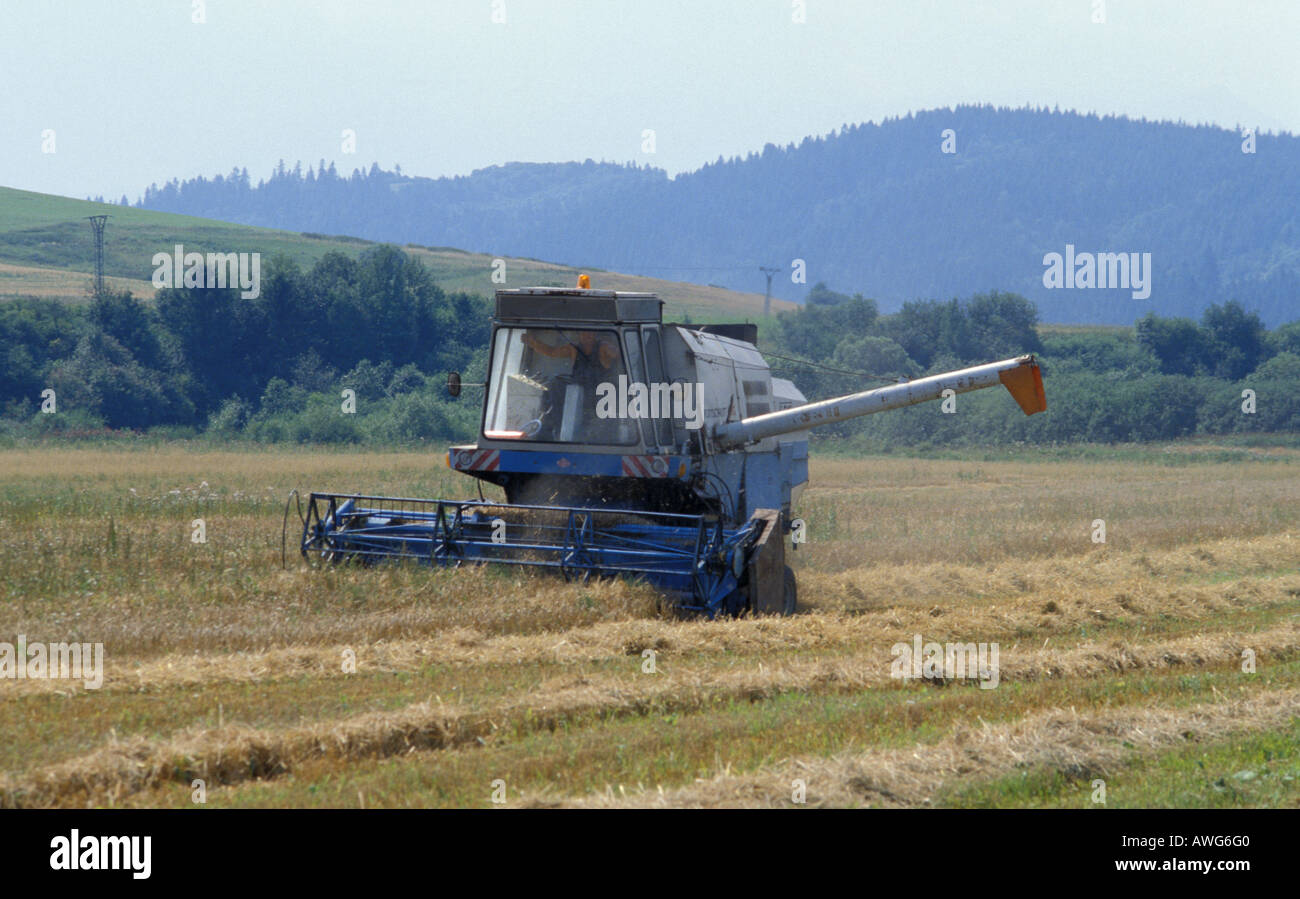 Harvester cutting hay field in Slovakia Stock Photo - Alamy