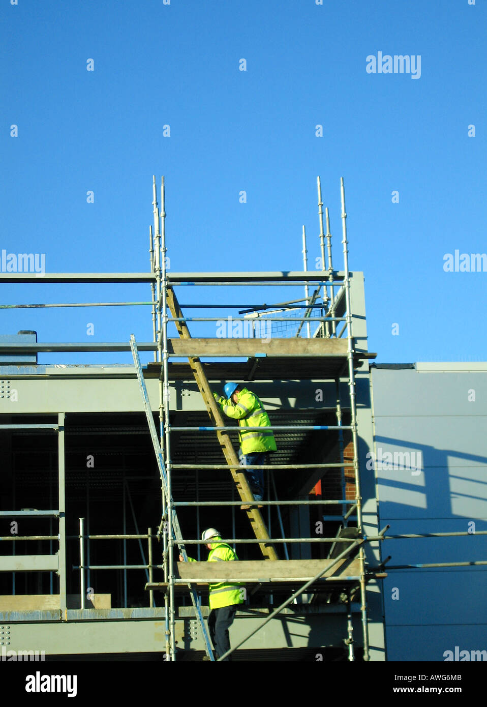 Workers climbing access ladders on scaffold on building site Stock ...
