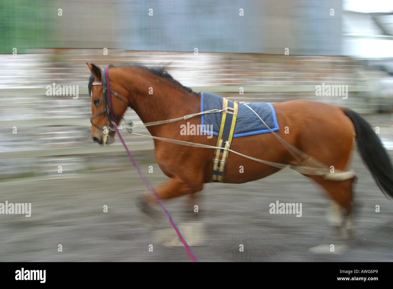 Lunged hi-res stock photography and images - Alamy