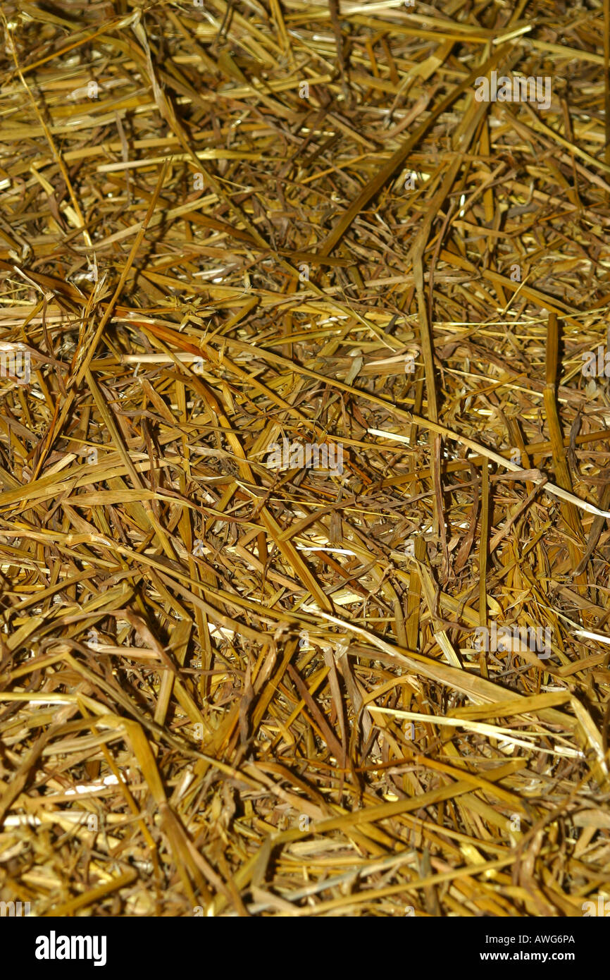 Straw close up Stock Photo - Alamy