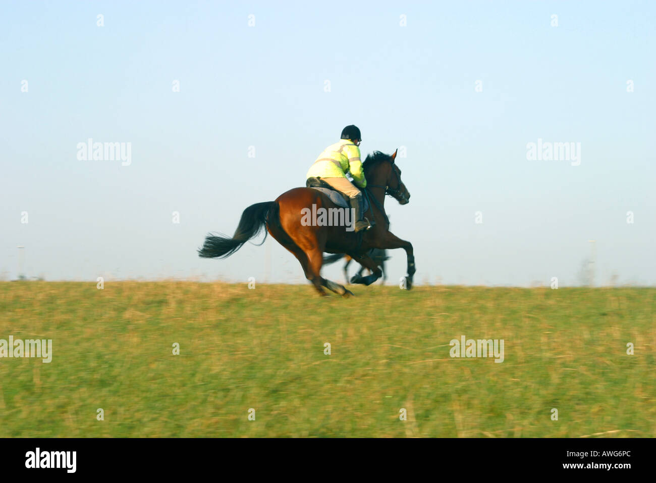 Galloping in countryside hi-res stock photography and images - Alamy