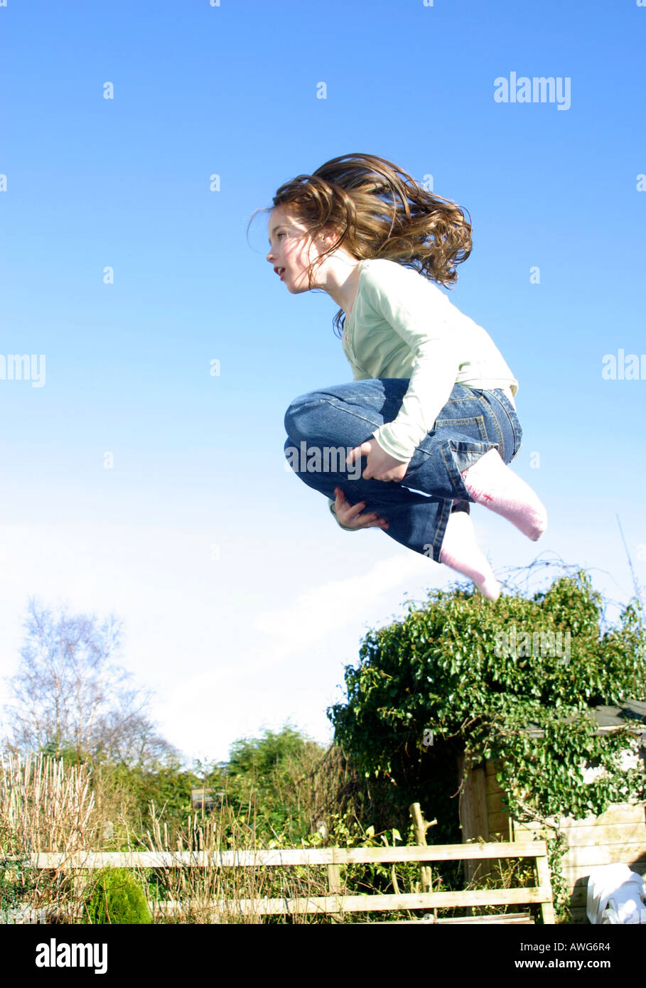 Tuck Jump Trampoline