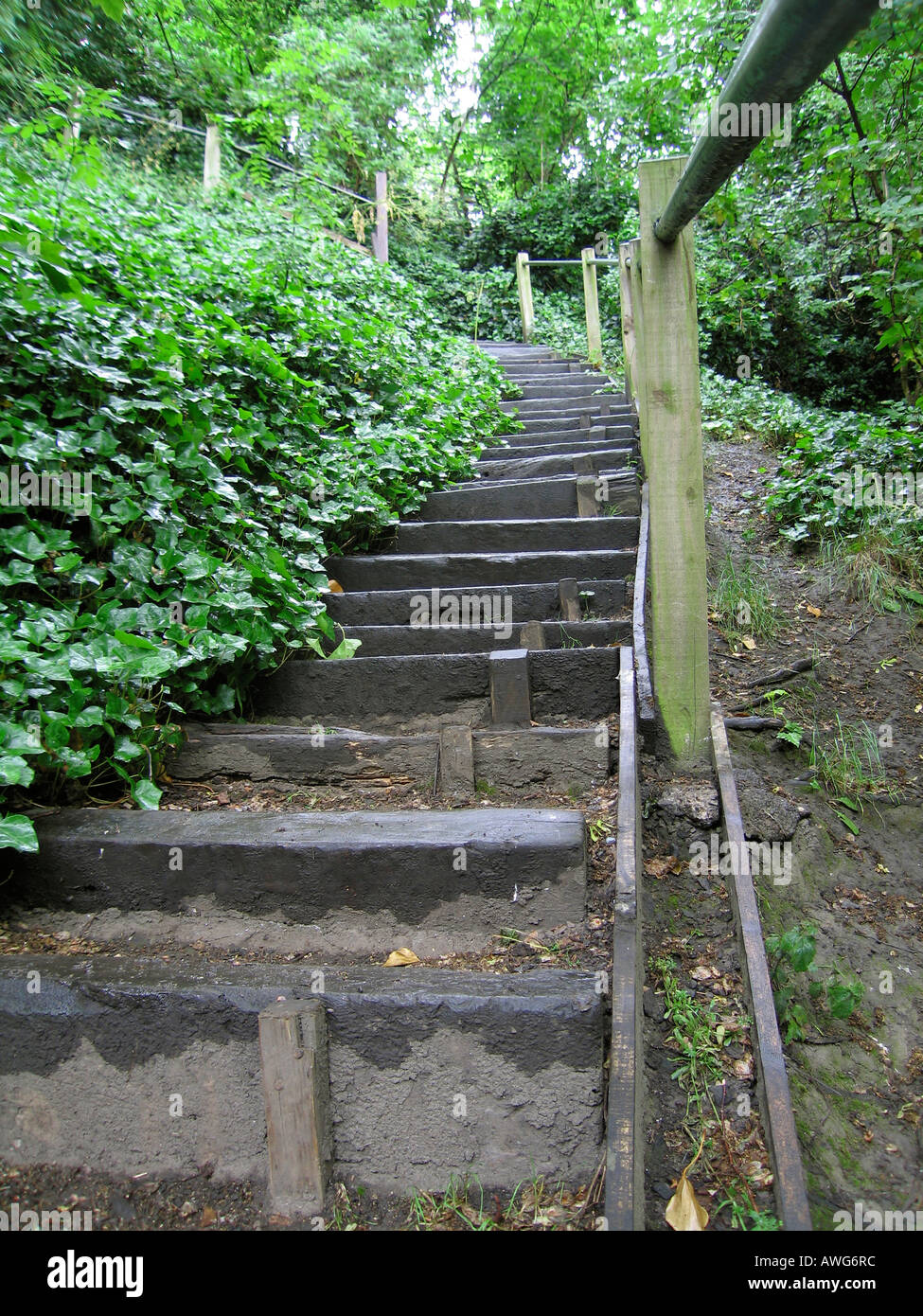 Timber steps hi-res stock photography and images - Alamy