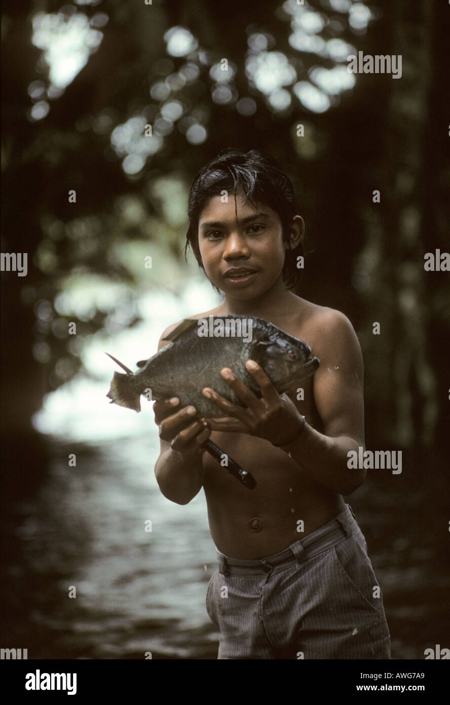 Amerindian guyana hi-res stock photography and images - Alamy