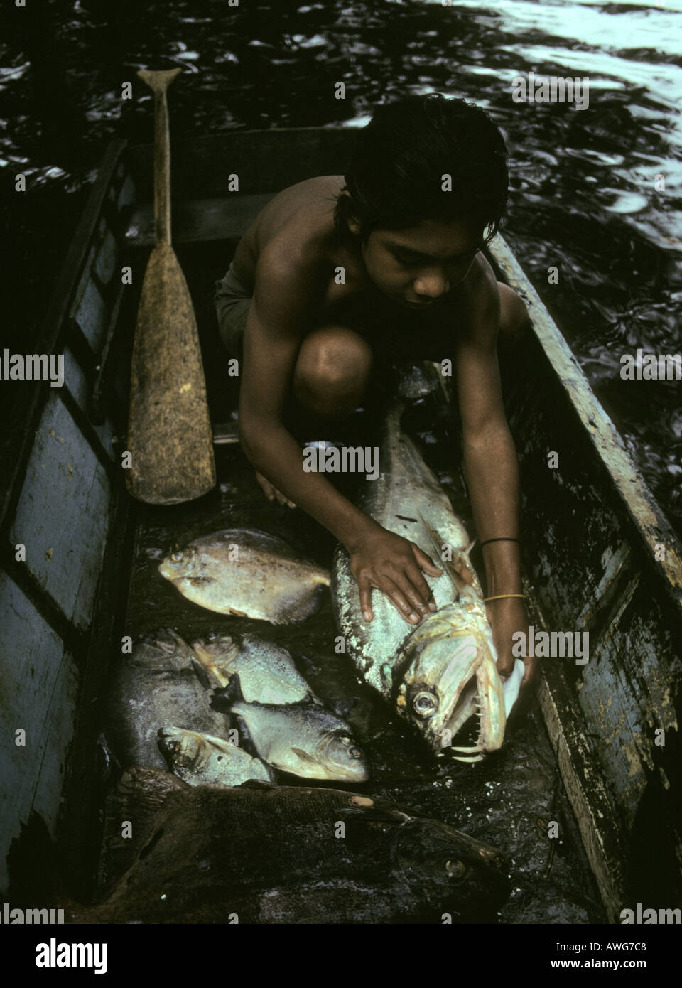 Amerindian boy with fish catch Mazaruni River Guyana Stock Photo - Alamy