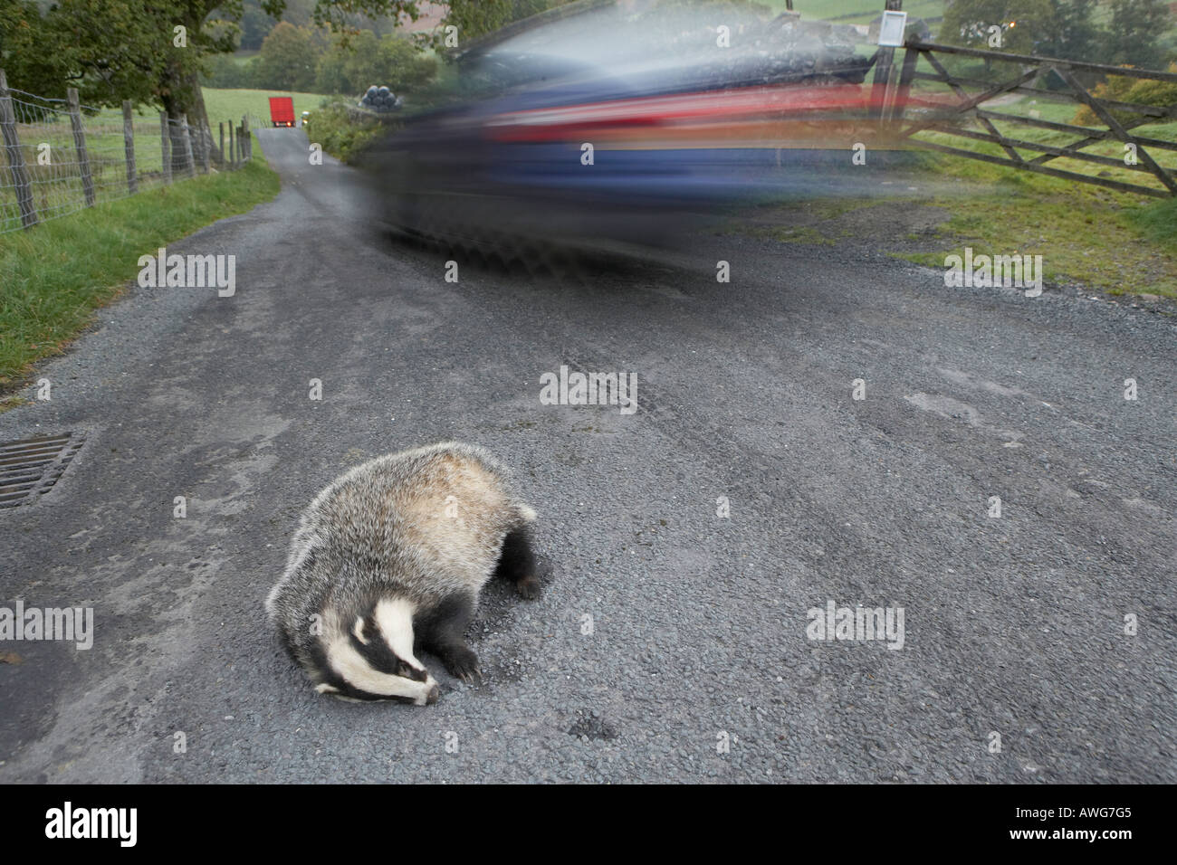 Car drives past dead hi-res stock photography and images - Alamy
