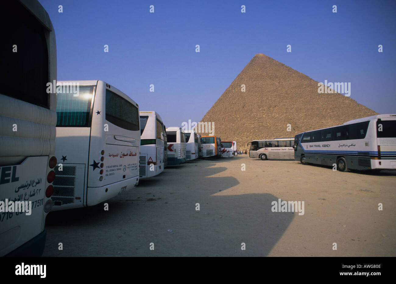 Buses next to the Pyramids in Cairo Stock Photo - Alamy