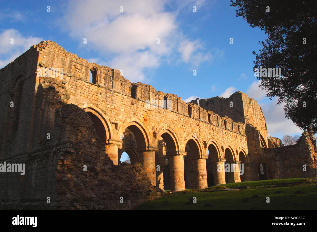 Shropshire buildwas abbey hi-res stock photography and images - Alamy