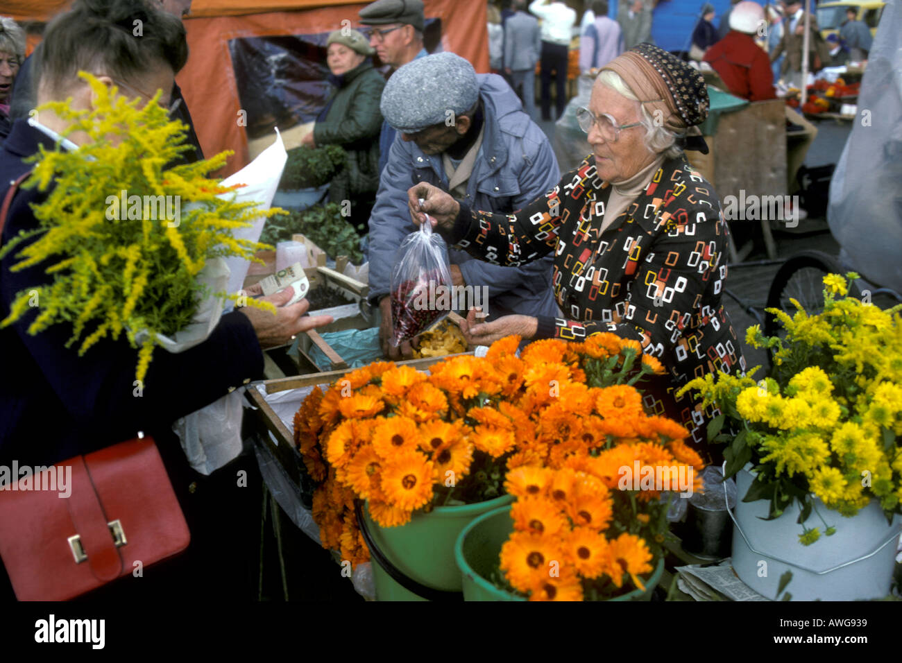 Europe Finland Helsinki waterfront farmers market Stock Photo - Alamy