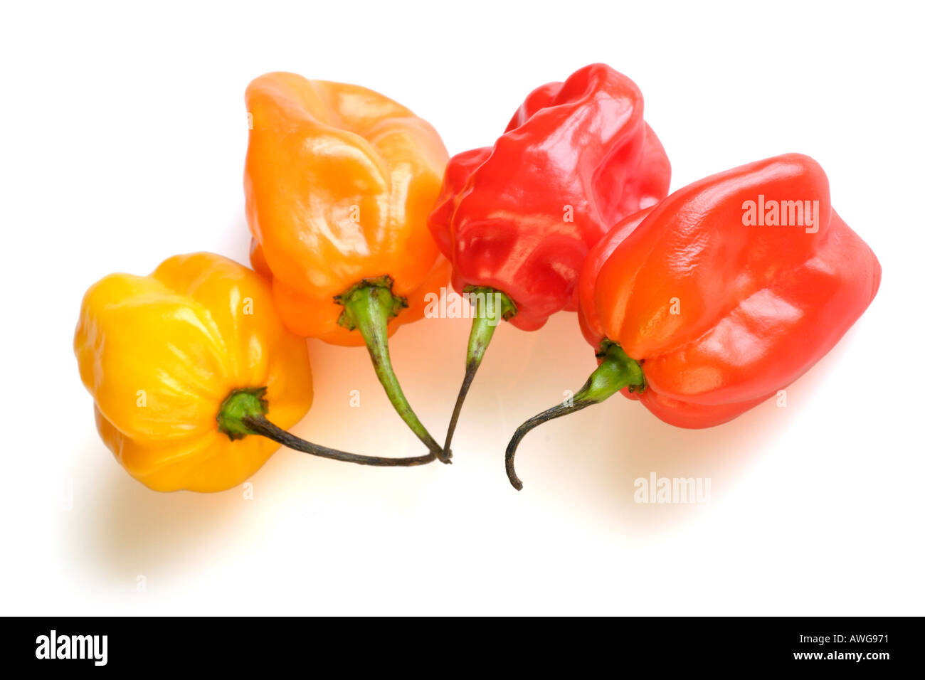 Hottest chillies hi-res stock photography and images - Alamy